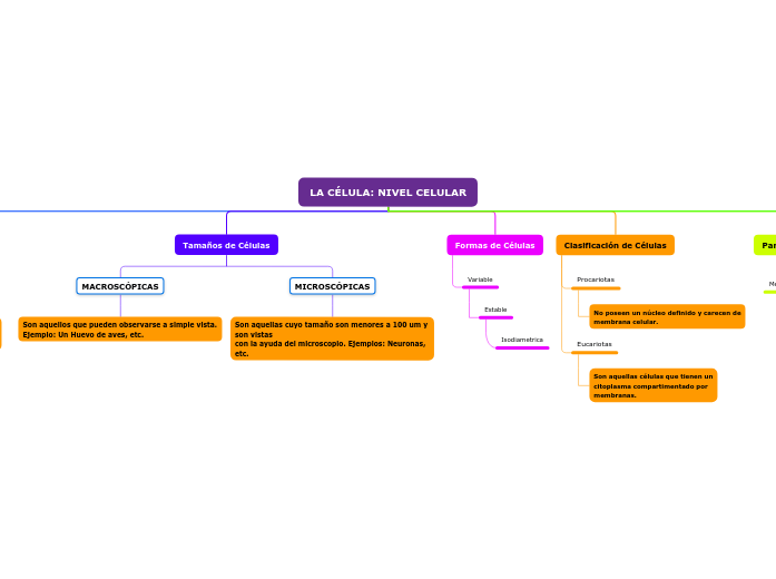 LA CÉLULA: NIVEL CELULAR - Mind Map